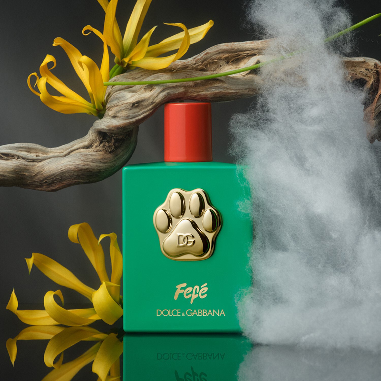 Fefé - Parfum pentru catei Dolce & Gabbana ≡ SEPHORA