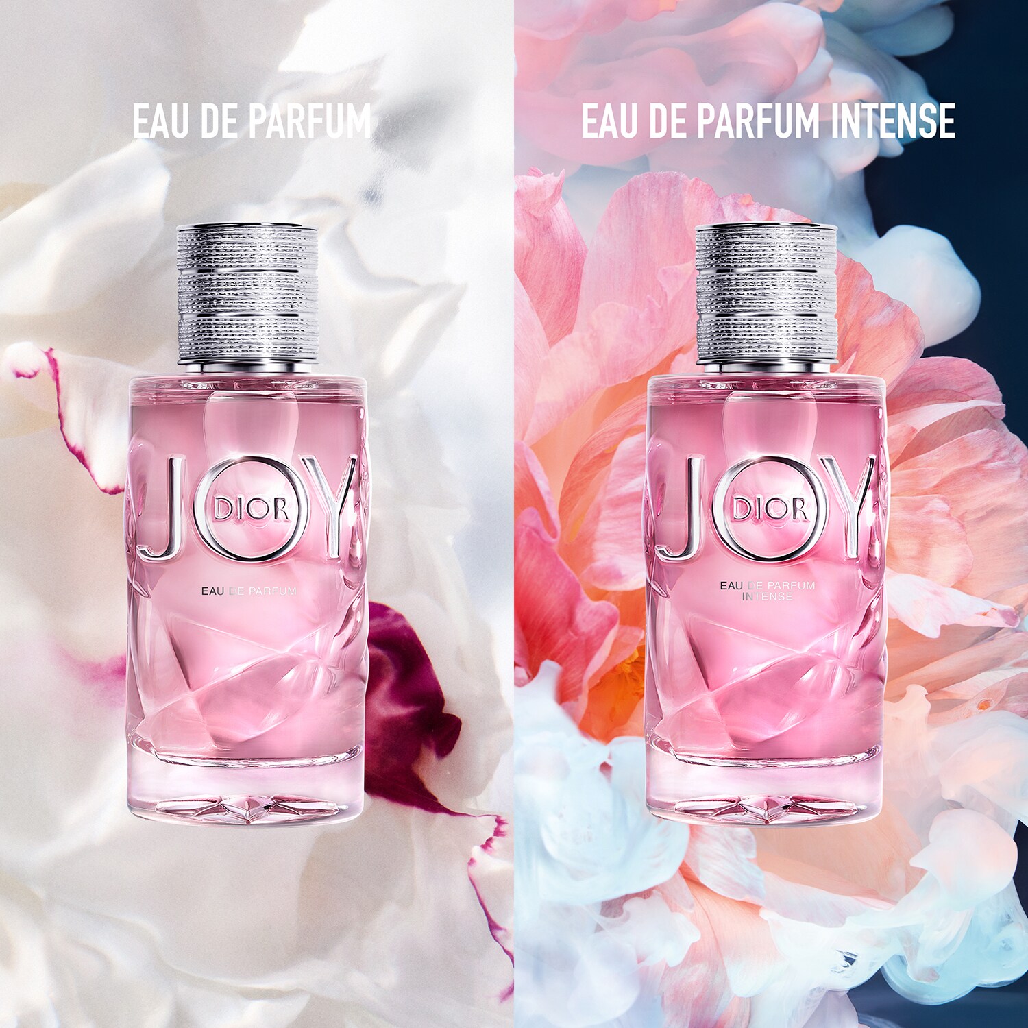 JOY de Dior - Eau de Parfum for Women - Note florale, lemnoase & de ...