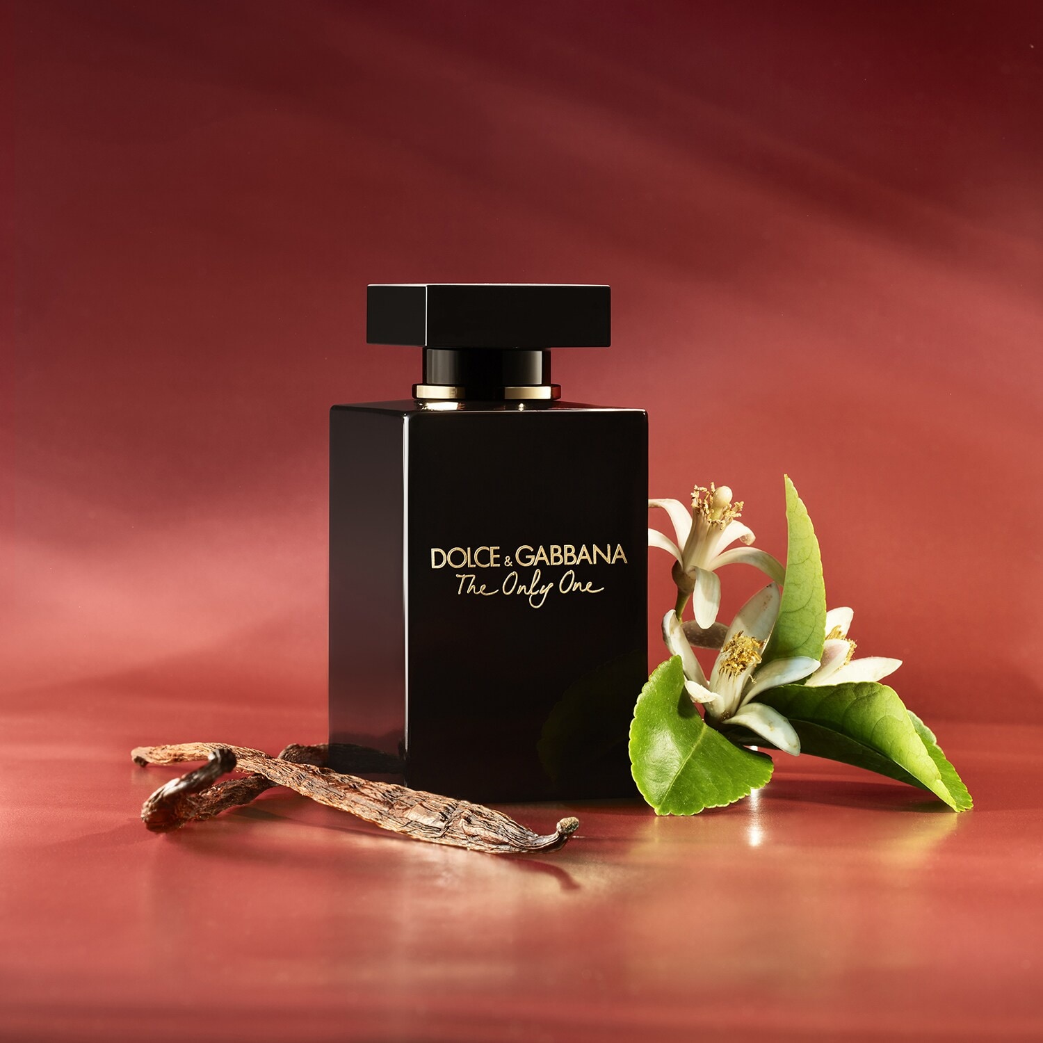 The Only One Intense Eau de Parfum | DOLCE & GABBANA Parfum Femei ≡ SEPHORA