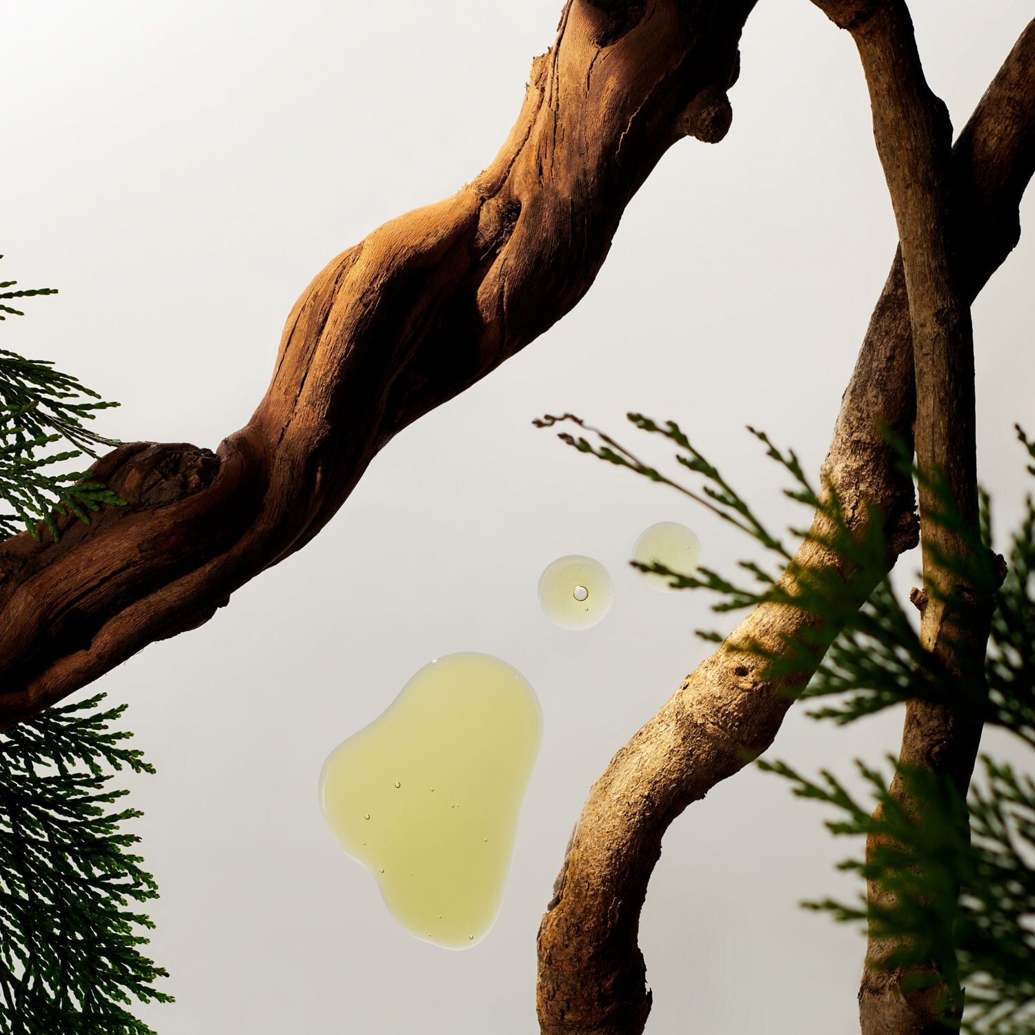 Rituals Homme - Rezerva odorizant masina Rituals ≡ SEPHORA