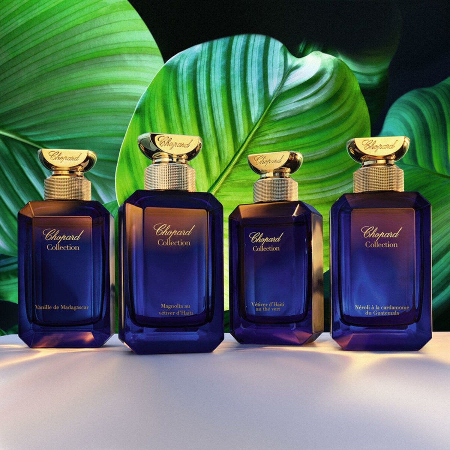 Chopard Collection Magnolia au Vétiver d’Haïti - Eau de Parfum Chopard ...