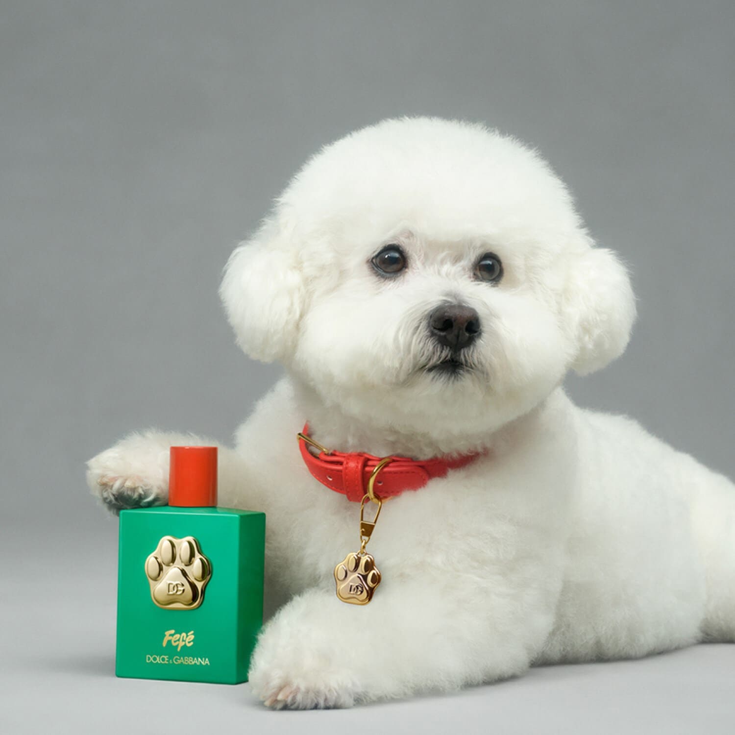 Fefé - Parfum pentru catei Dolce & Gabbana ≡ SEPHORA