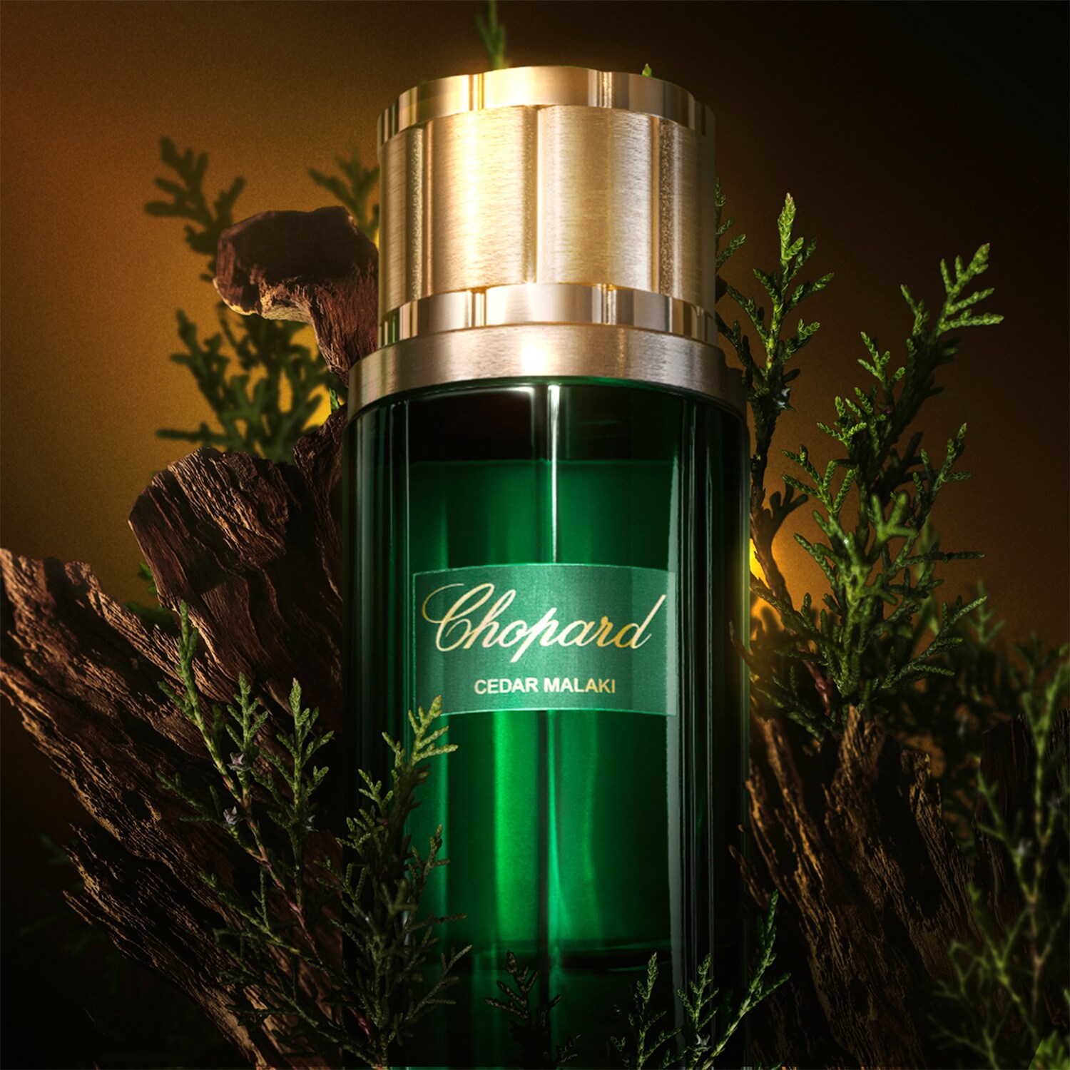 Malaki Cedar - Eau de Parfum Chopard ≡ SEPHORA